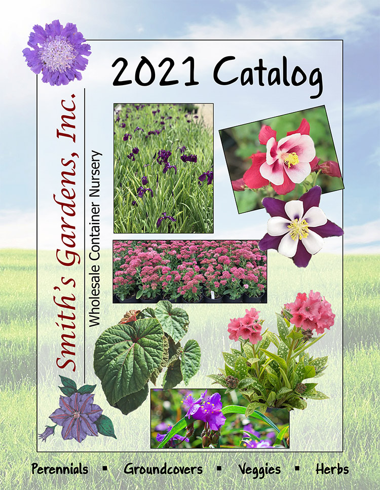 Smith's Gardens, Inc. - Home